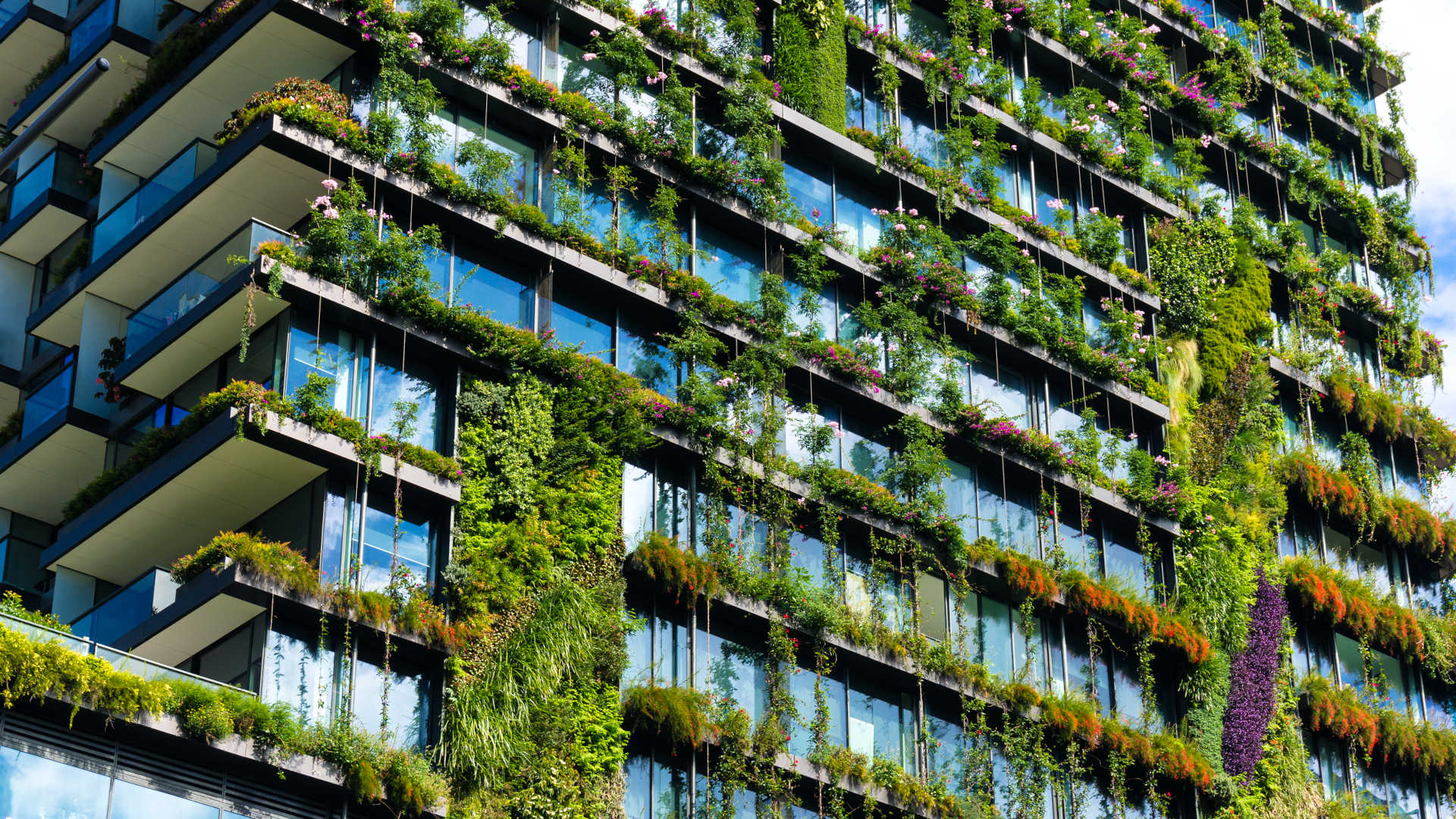 Green Building Practices: Sustainable Construction | TSL Group